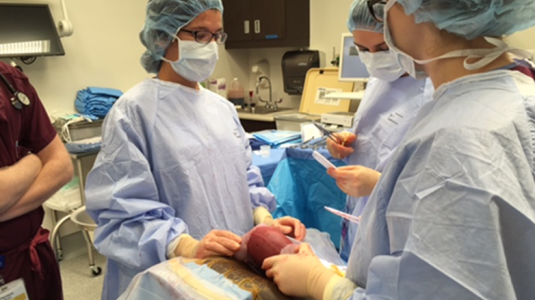 Simulation Program: OB-GYN Residency Program | Inova
