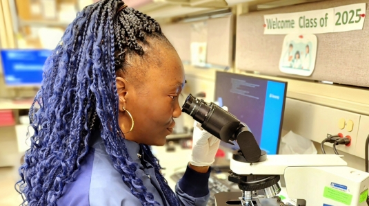 Medical Laboratory Science Program | Inova