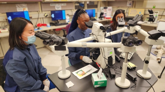 Medical Laboratory Science Program | Inova